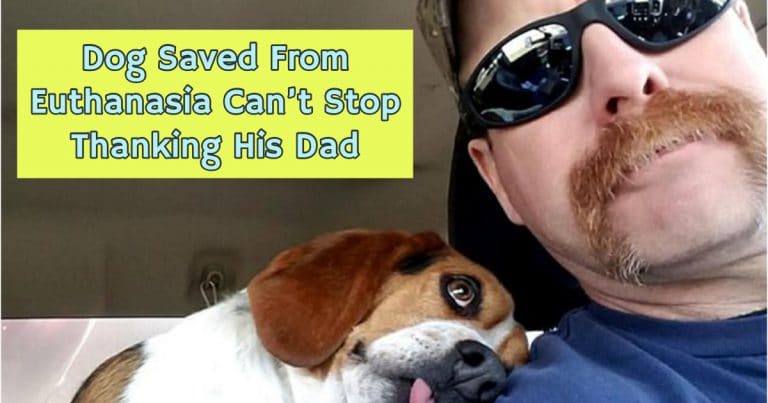 Family’s Day At The Lake Goes Viral Thanks To Dog Who Can't Stop ...