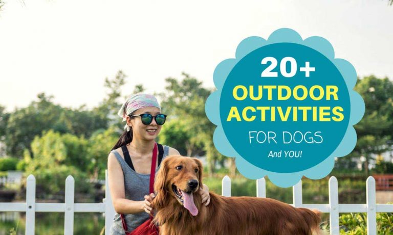 20+ Dog Friendly Outdoor Activities for Dogs and Dog Owners to Enjoy!