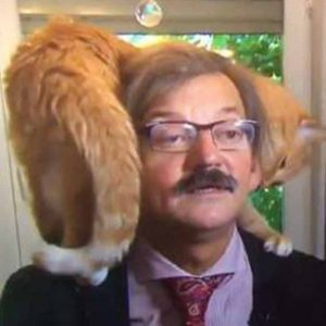 Cat Interrupts His Owner's Live TV Interview In The Funniest Way ...